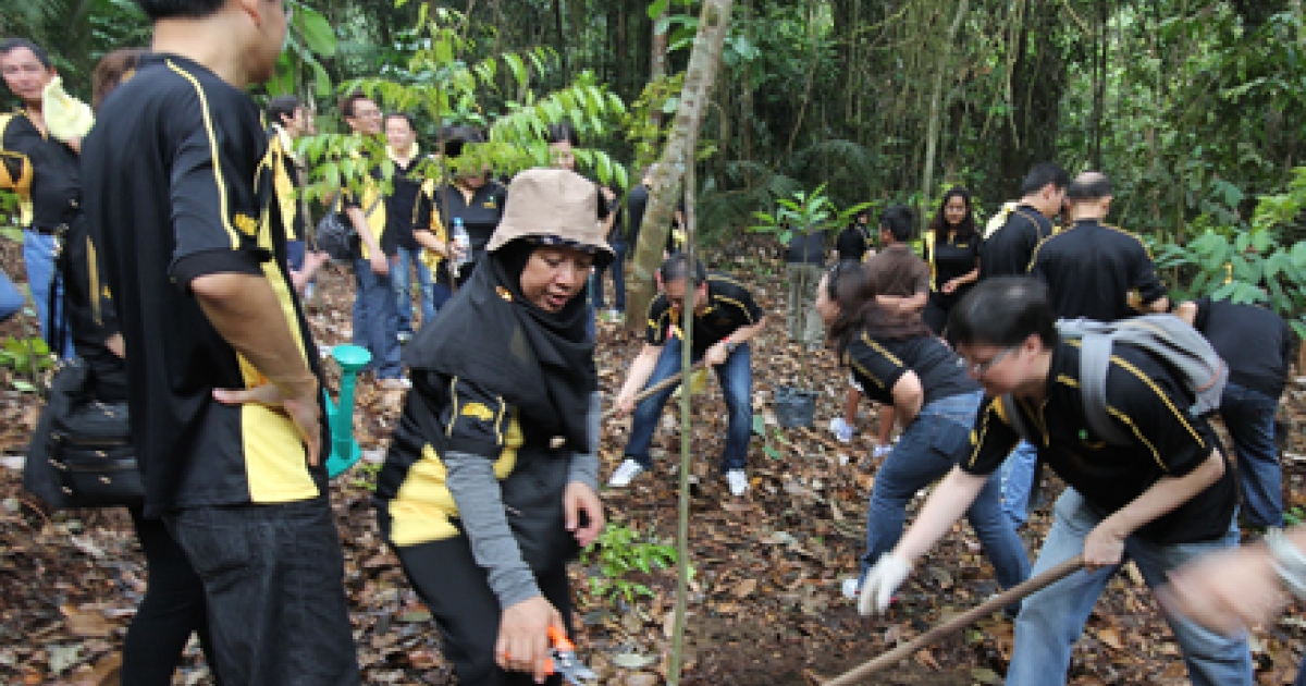 Maybank holds simultaneous global CSR day project | Asian Banking & Finance