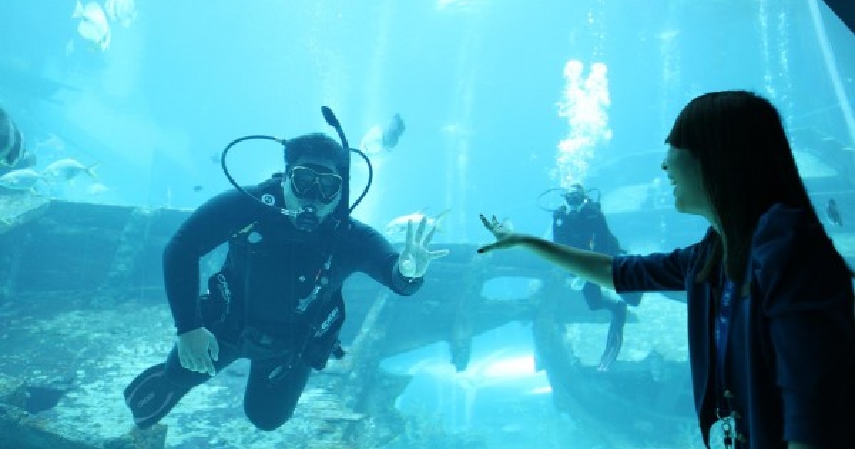 World's largest oceanarium gears up for opening | Singapore Business Review