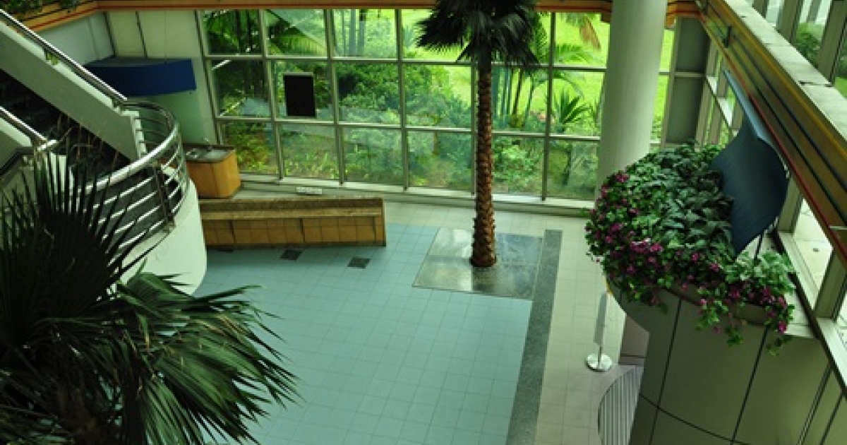 Check how this dull space was turned into a bewitching café in a garden ...